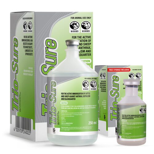 For the active immunisation of cattle and sheep against anthrax ...